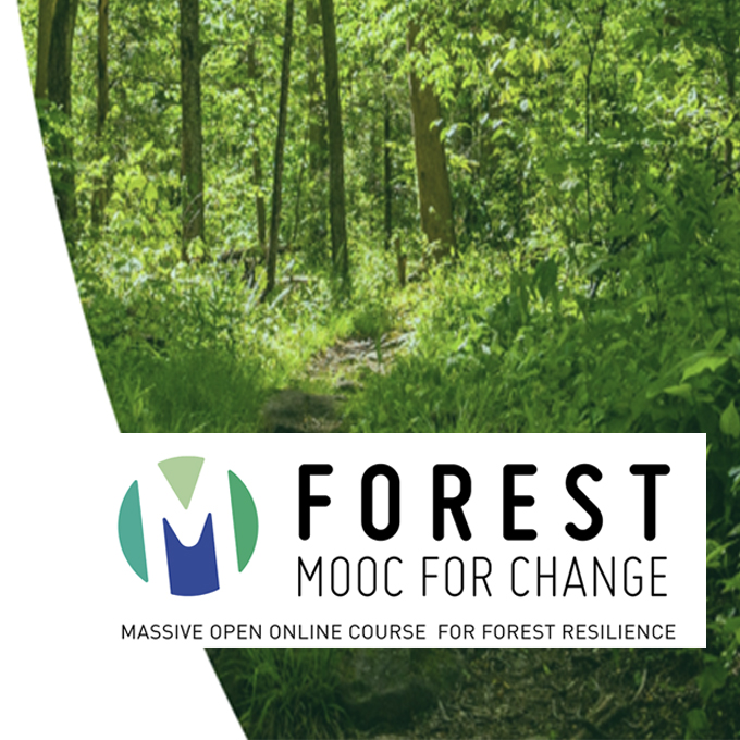 Haies et espaces boisés – Charente Nature